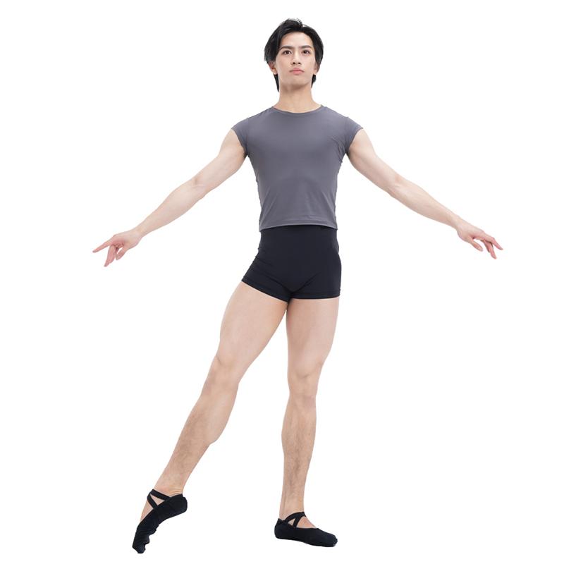 Fitted Ballet Top Dancewear For Men | Dansgirl